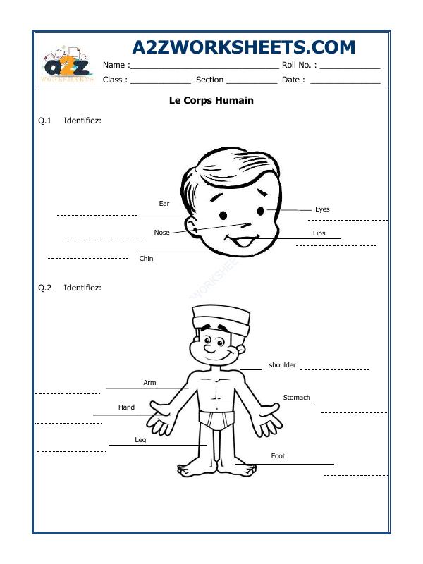 A2Zworksheets:Worksheet of French Worksheet - Le Corps Humain-French ...