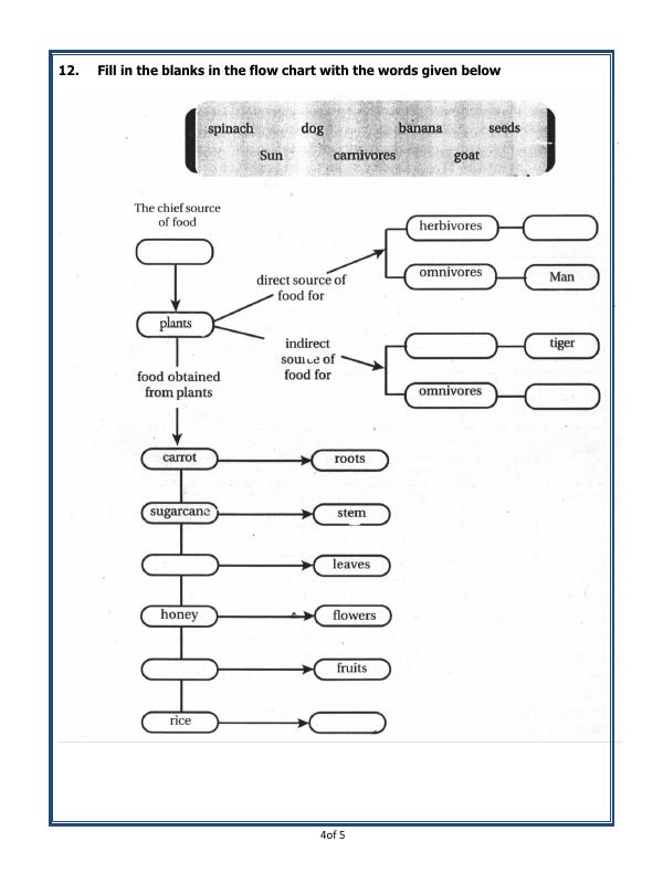 A2Zworksheets:Worksheet of Food - Where Does It Come From-Basic ...