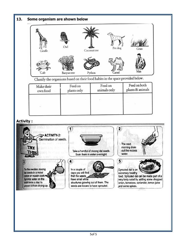 A2Zworksheets:Worksheet of Food - Where Does It Come From-Basic ...