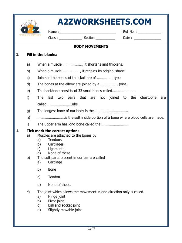 A2Zworksheets:Worksheet of Body Movements-Humans-Science