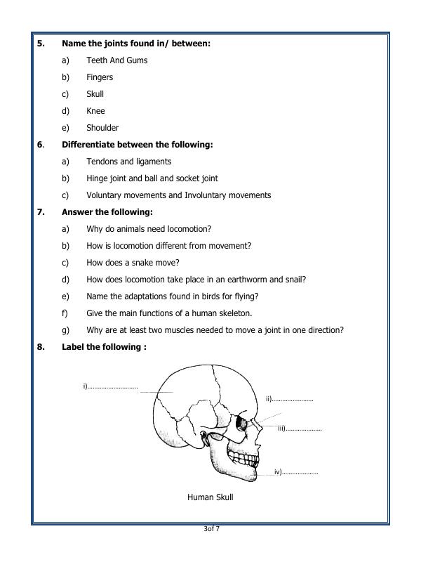 A2Zworksheets:Worksheet of Body Movements-Humans-Science
