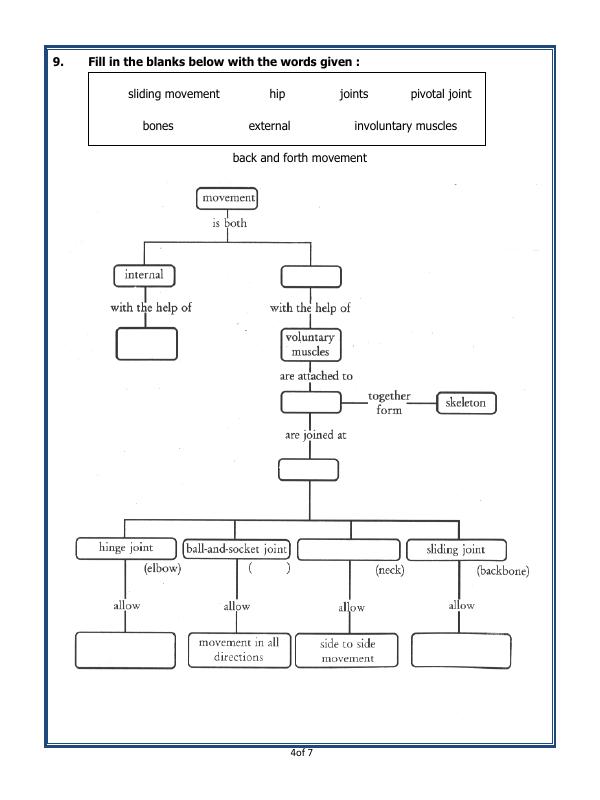 A2Zworksheets:Worksheet of Body Movements-Humans-Science