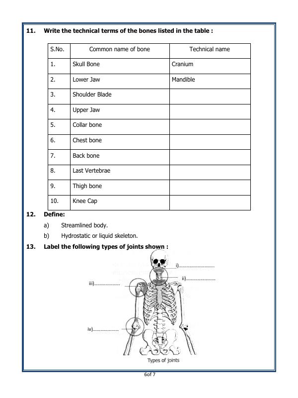 A2Zworksheets:Worksheet of Body Movements-Humans-Science