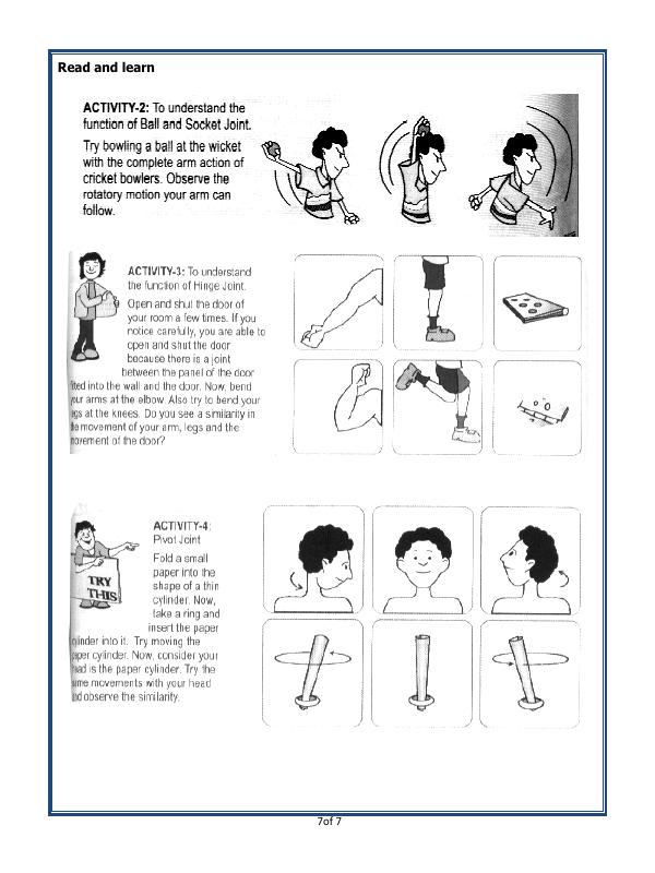 A2Zworksheets:Worksheet of Body Movements-Humans-Science