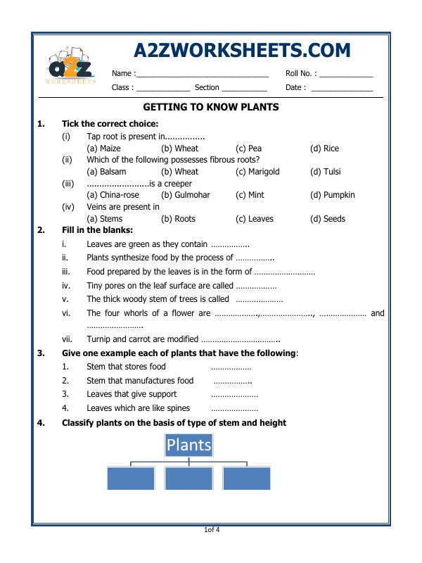 A2Zworksheets:Worksheet of Getting To Know Plants-Plants and Living ...