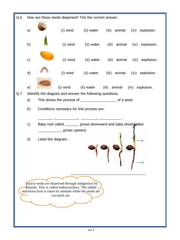 A2Zworksheets:Worksheet of Plant Life-Plants and Living Organisms-Science