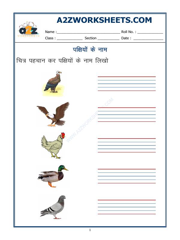 A2Zworksheets:Worksheet of Hindi Worksheet - Name Of Birds In Hindi ...