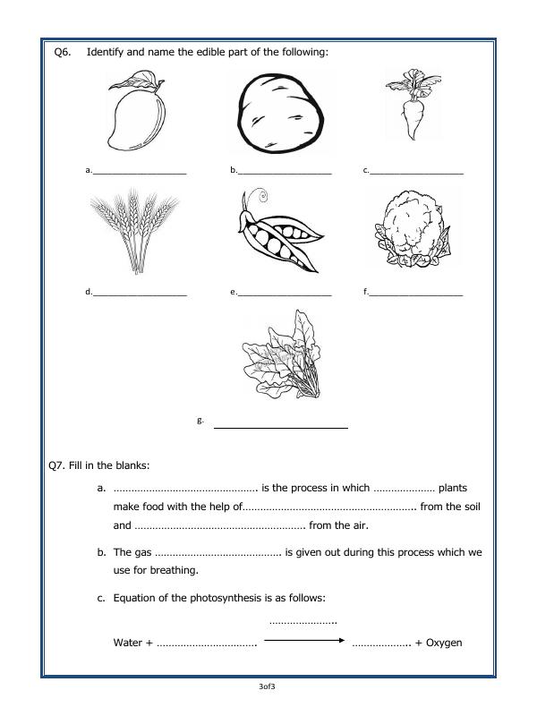 A2Zworksheets:Worksheet of Plants - Our Green Friends-Plants and Living ...