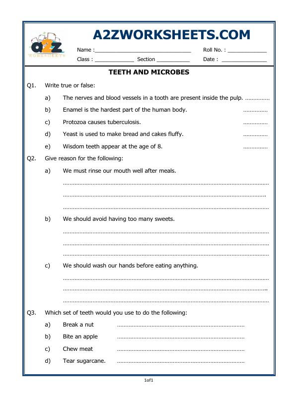 A2Zworksheets:Worksheet of Teeth And Microbes-Humans-Science