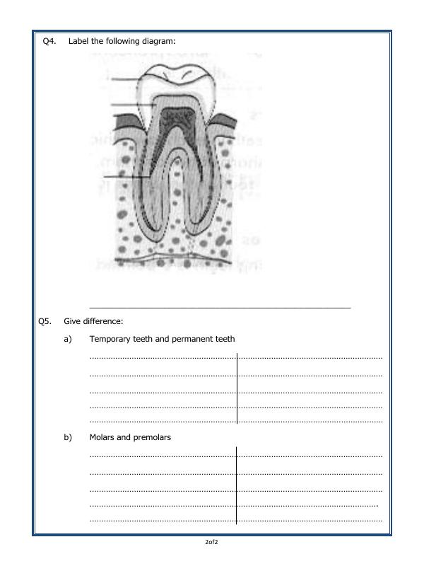 A2Zworksheets:Worksheet of Teeth And Microbes-Humans-Science