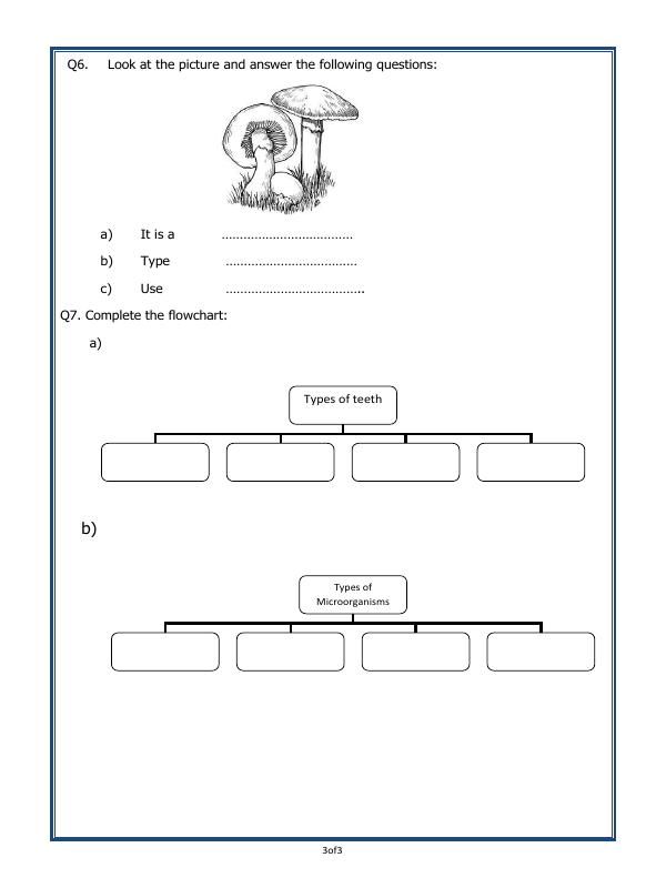 A2Zworksheets:Worksheet of Teeth And Microbes-Humans-Science