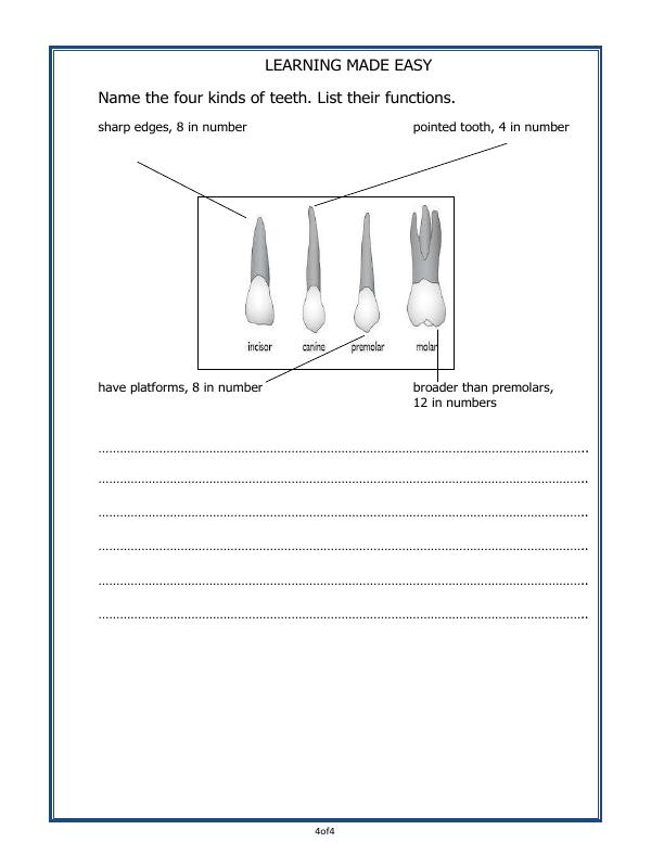 A2Zworksheets:Worksheet of Teeth And Microbes-Humans-Science