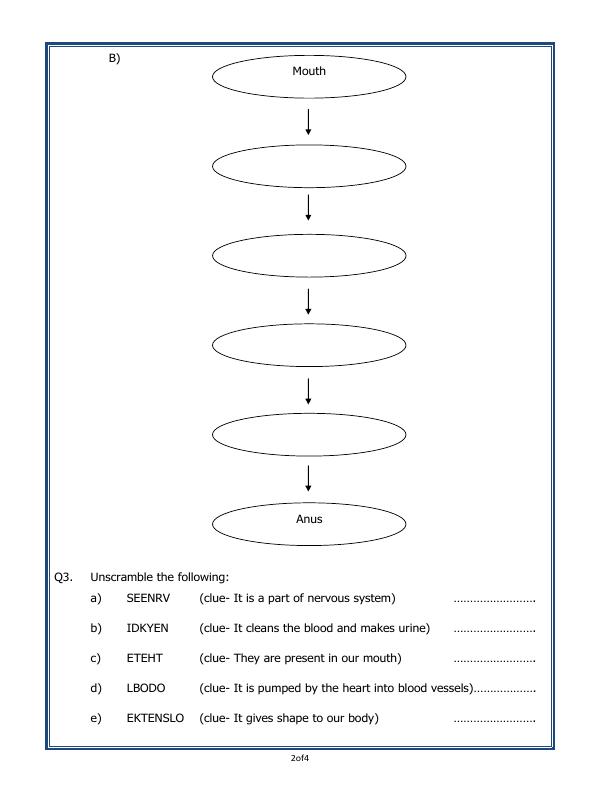 A2Zworksheets:Worksheet of Our Body-Humans-Science
