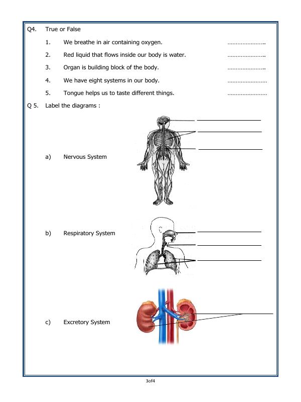 A2Zworksheets:Worksheet of Our Body-Humans-Science