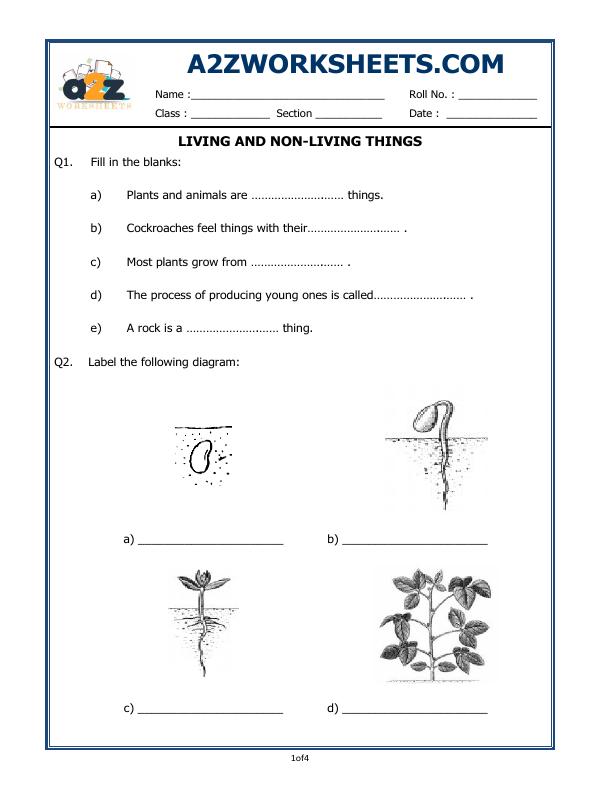 A2Zworksheets:Worksheet of Living And Non-Living Things-Plants and ...