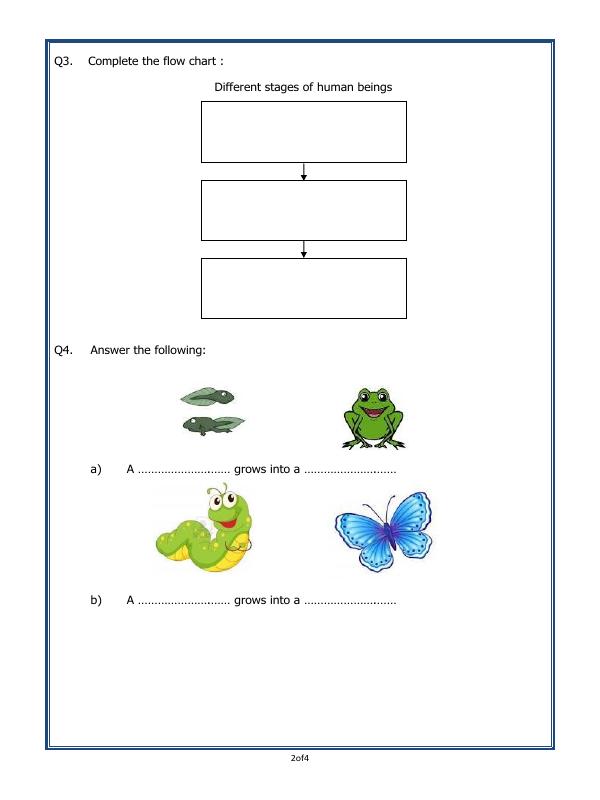 A2Zworksheets:Worksheet of Living And Non-Living Things-Plants and ...