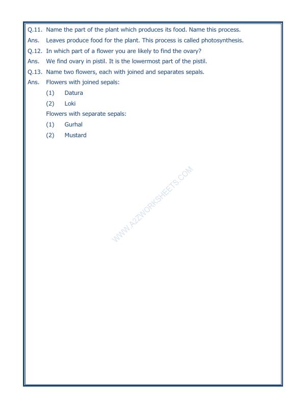 A2Zworksheets:Worksheet of Getting To Know Plants-01-Plants and Living ...