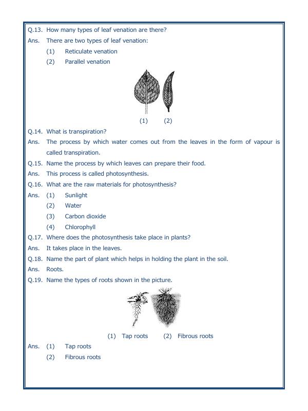 A2Zworksheets:Worksheet of Getting To Know Plants-02-Plants and Living ...