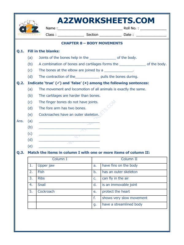A2Zworksheets:Worksheet of Body Movements-01-Humans-Science