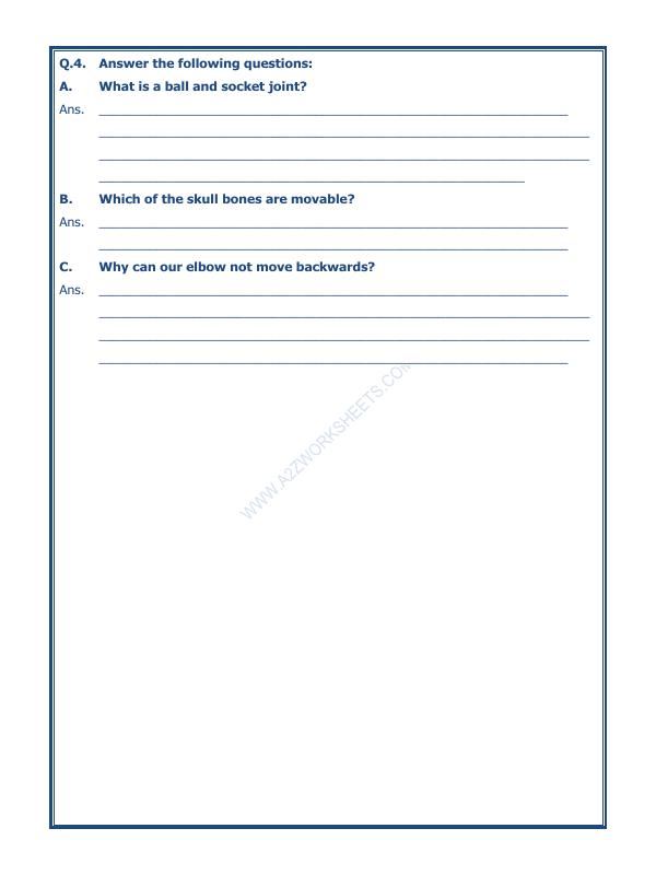 A2Zworksheets:Worksheet of Body Movements-01-Humans-Science