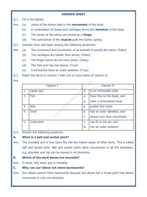 A2Zworksheets:Worksheet of Body Movements-01-Humans-Science
