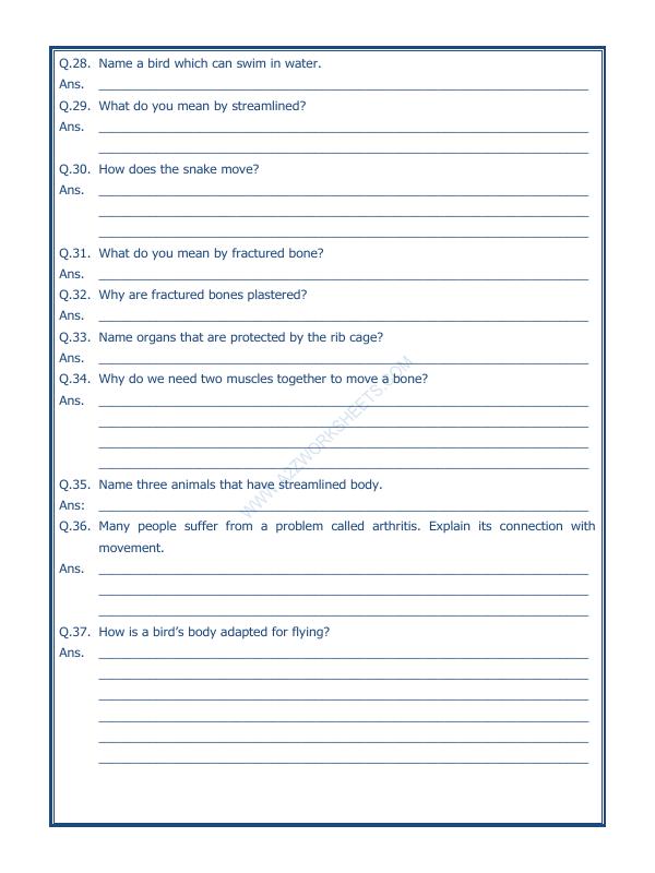 A2Zworksheets:Worksheet of Body Movements-02-Humans-Science