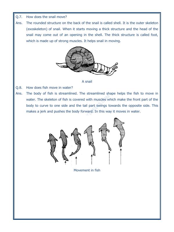 A2Zworksheets:Worksheet of Body Movements-03-Humans-Science