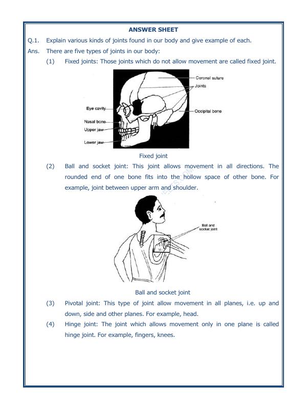 A2Zworksheets:Worksheet of Body Movements-04-Humans-Science