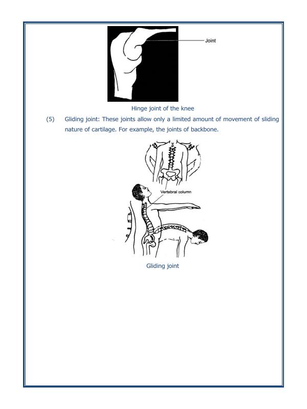 A2Zworksheets:Worksheet of Body Movements-04-Humans-Science