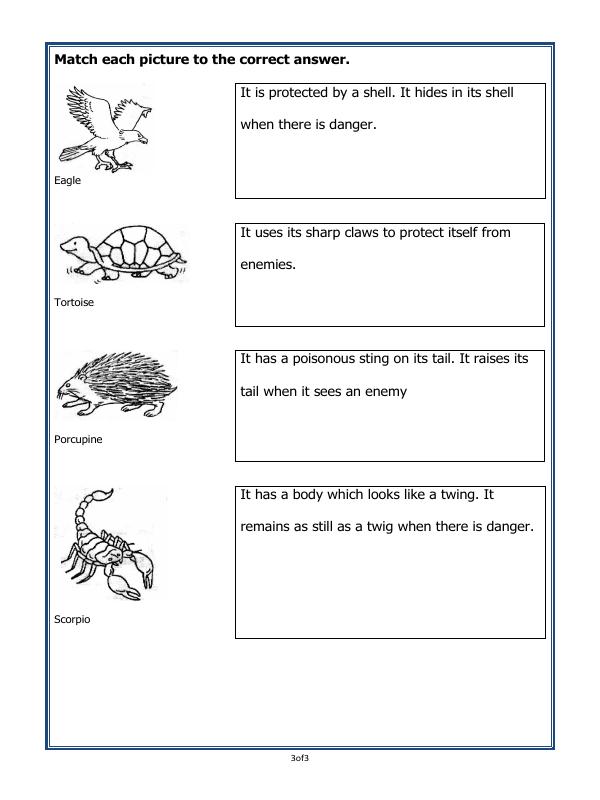 A2Zworksheets:Worksheet of Animals-Animals-Science