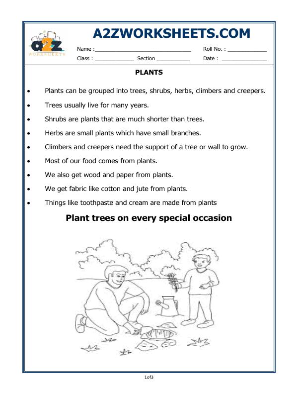 A2Zworksheets:Worksheet of Plants-Plants and Living Organisms-Science