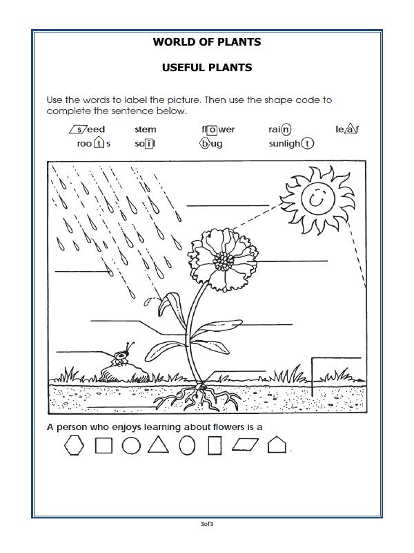 A2Zworksheets:Worksheet of Plants-Plants and Living Organisms-Science