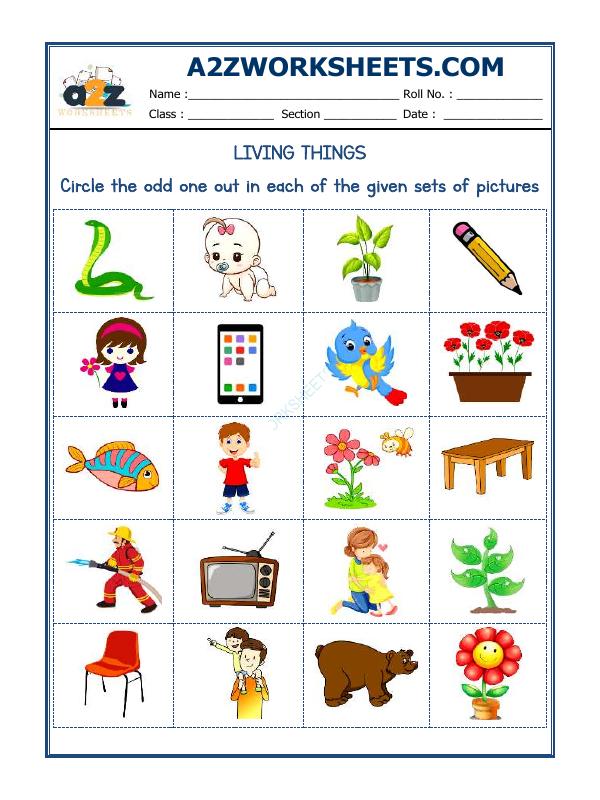 A2Zworksheets:Worksheet of Odd One Out-08-Logical Reasoning-General ...