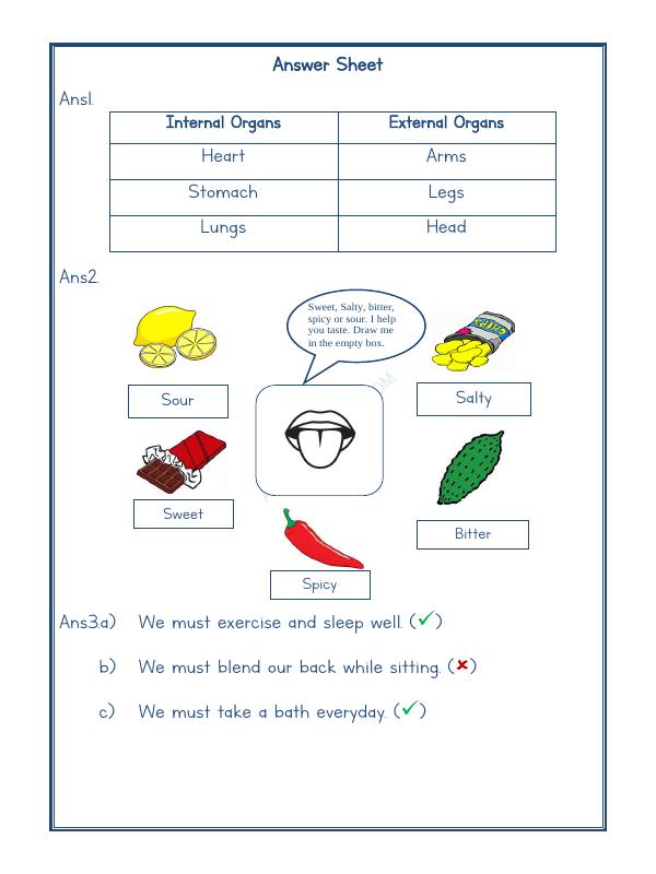 A2Zworksheets:Worksheet of Our Body-01-Humans-Science