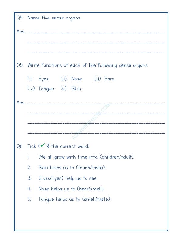 A2Zworksheets:Worksheet of Human Body-01-Humans-Science