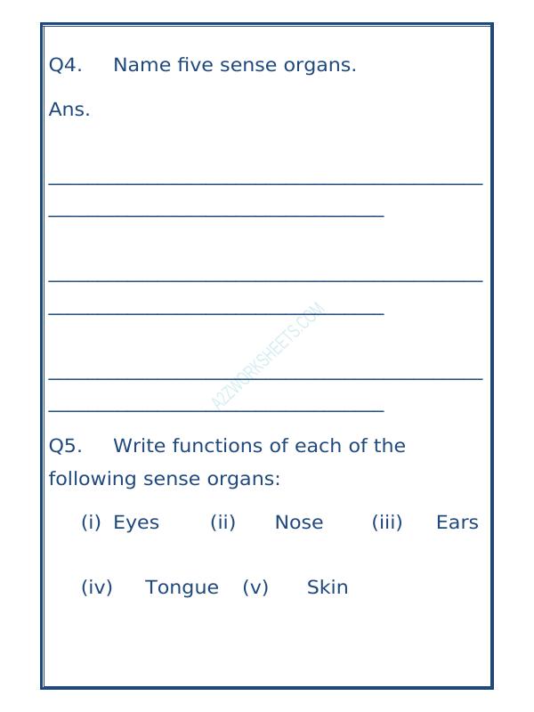 A2Zworksheets:Worksheet of Human Body-01-Humans-Science
