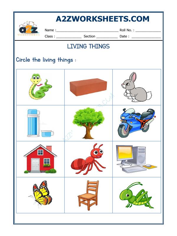 A2Zworksheets:Worksheet of Living Things-02-Plants and Living Organisms ...