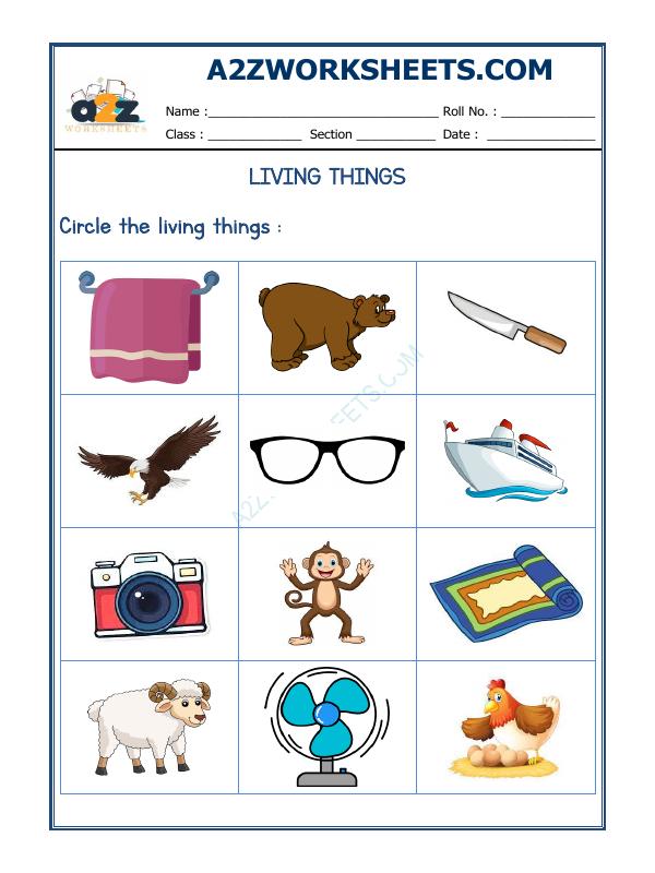 A2Zworksheets:Worksheet of Living Things-05-Plants and Living Organisms ...