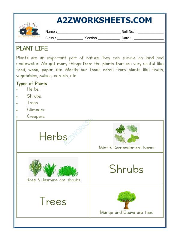 A2Zworksheets:Worksheet of Class-I-Plants Life-02-Plants and Living ...