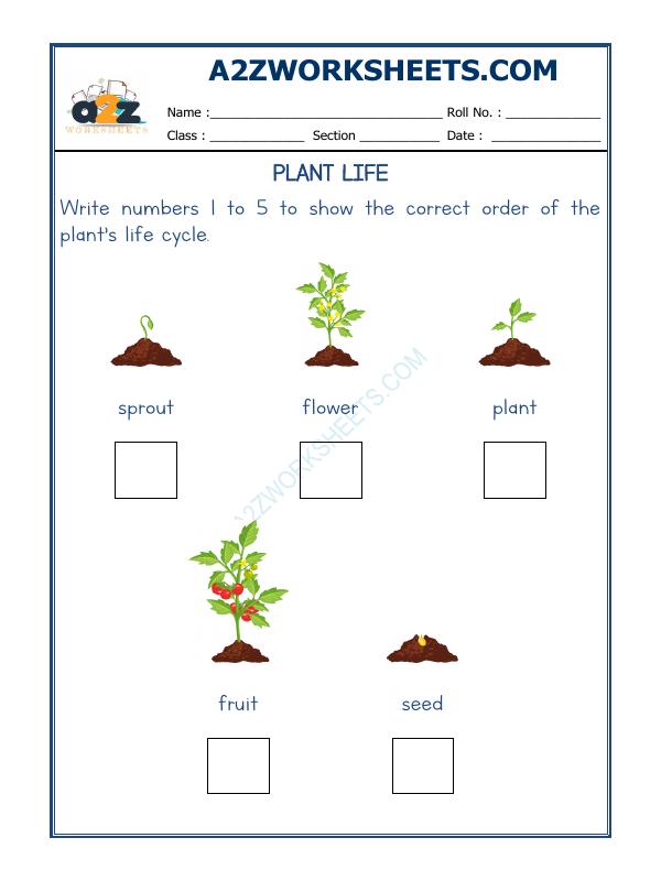 A2Zworksheets:Worksheet of Plants Life-05-Plants and Living Organisms ...