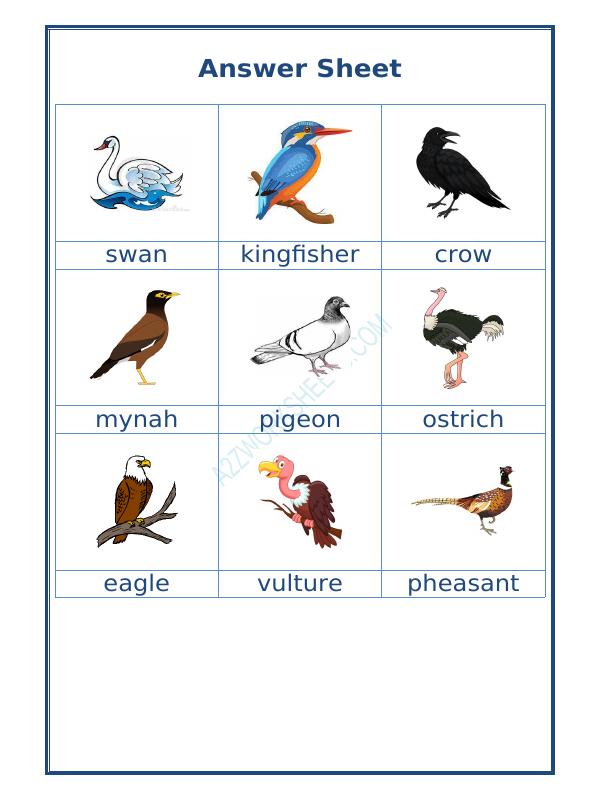 A2Zworksheets:Worksheet of Class-I-Animals Kingdom-08-Animals-Science