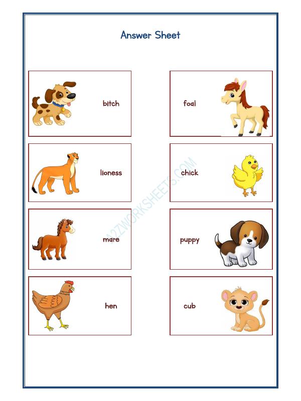 A2Zworksheets:Worksheet of Class-I-Animals Kingdom-12-Animals-Science