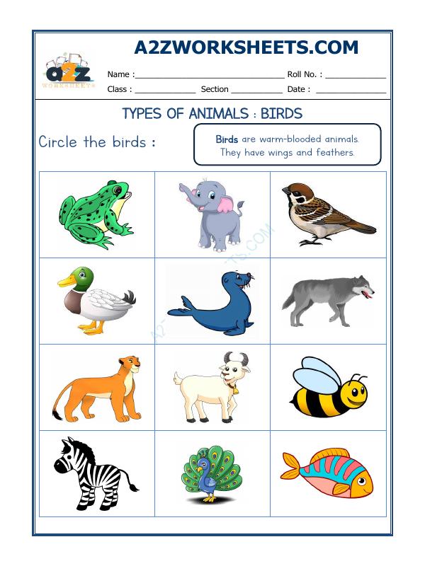 A2Zworksheets:Worksheet of Animal Classification-01-Animals-Science