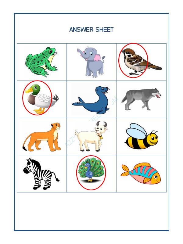 A2Zworksheets:Worksheet of Animal Classification-01-Animals-Science
