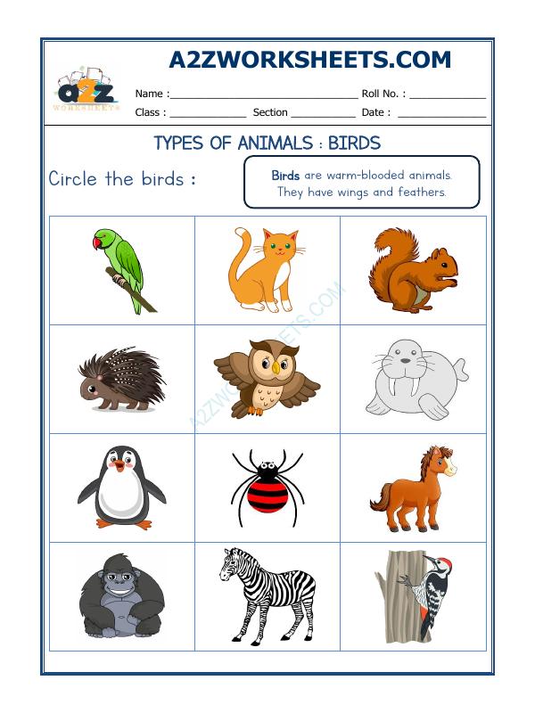 A2Zworksheets:Worksheet of Class-I-Animal Classification-02-Animals-Science