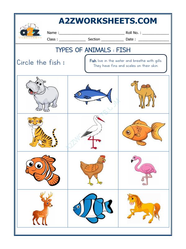 A2Zworksheets:Worksheet of Animal Classification-04-Animals-Science