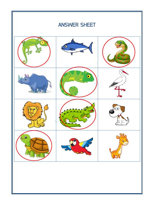 A2Zworksheets:Worksheet of Animal Classification-05-Animals-Science