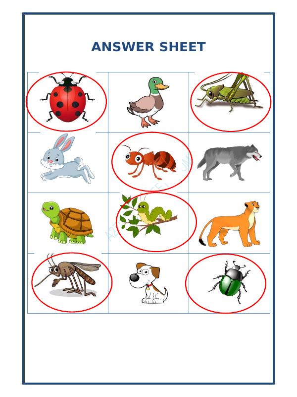 A2Zworksheets:Worksheet of Class-I-Animal Classification-07-Animals-Science