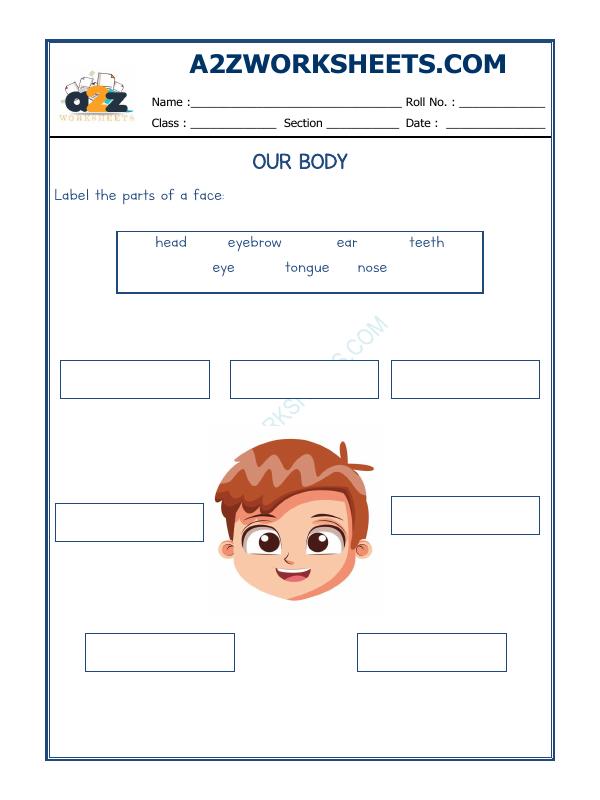 A2Zworksheets:Worksheet of Class-I-Our Body-03-Humans-Science