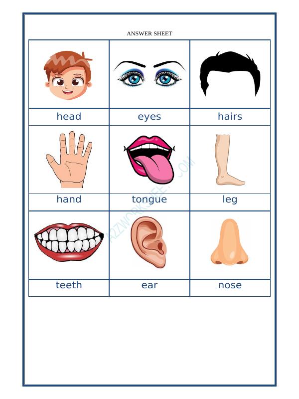 A2zworksheets Worksheet Of Class I Our Body 04 Humans Science
